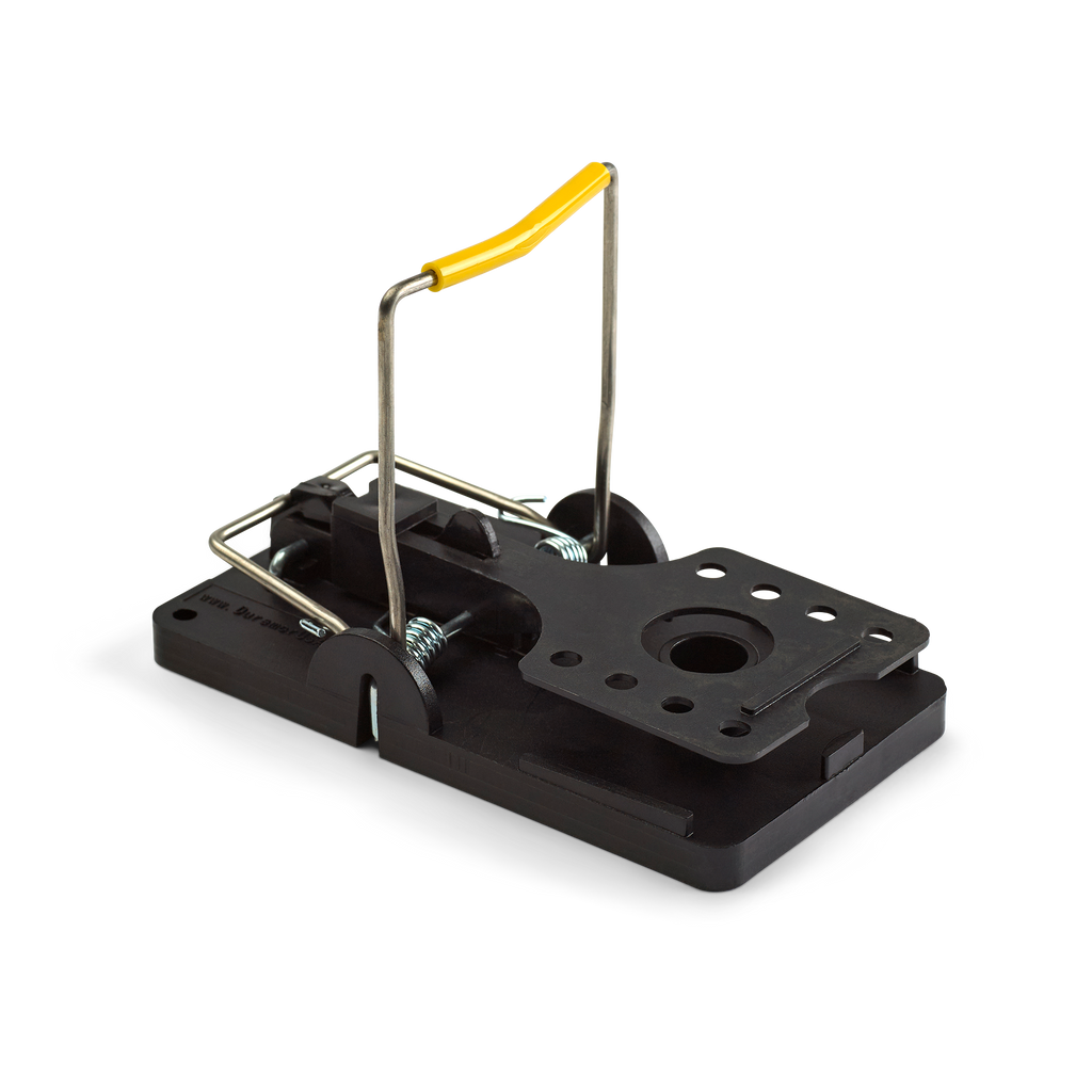 Easy Set Rat Snap Trap – Duramor